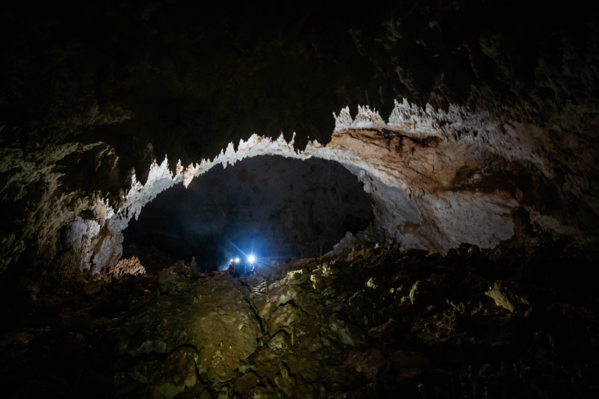 Global Conference Tackles Restoration Of Ecosystem - The Mindanao Life