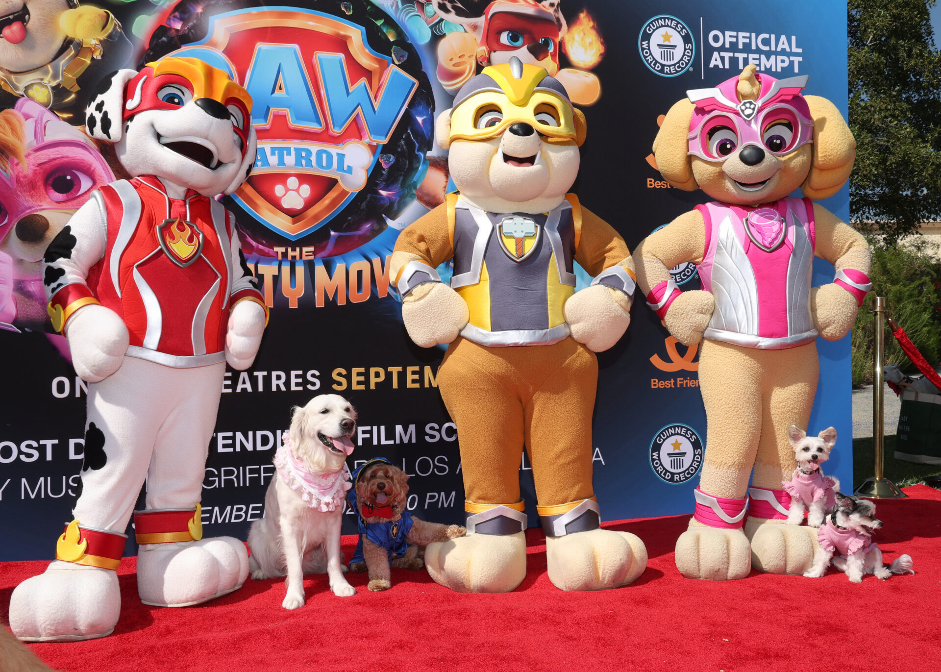 Paw Patrol Breaks World Record For Having Most Dogs Attending A Film ...