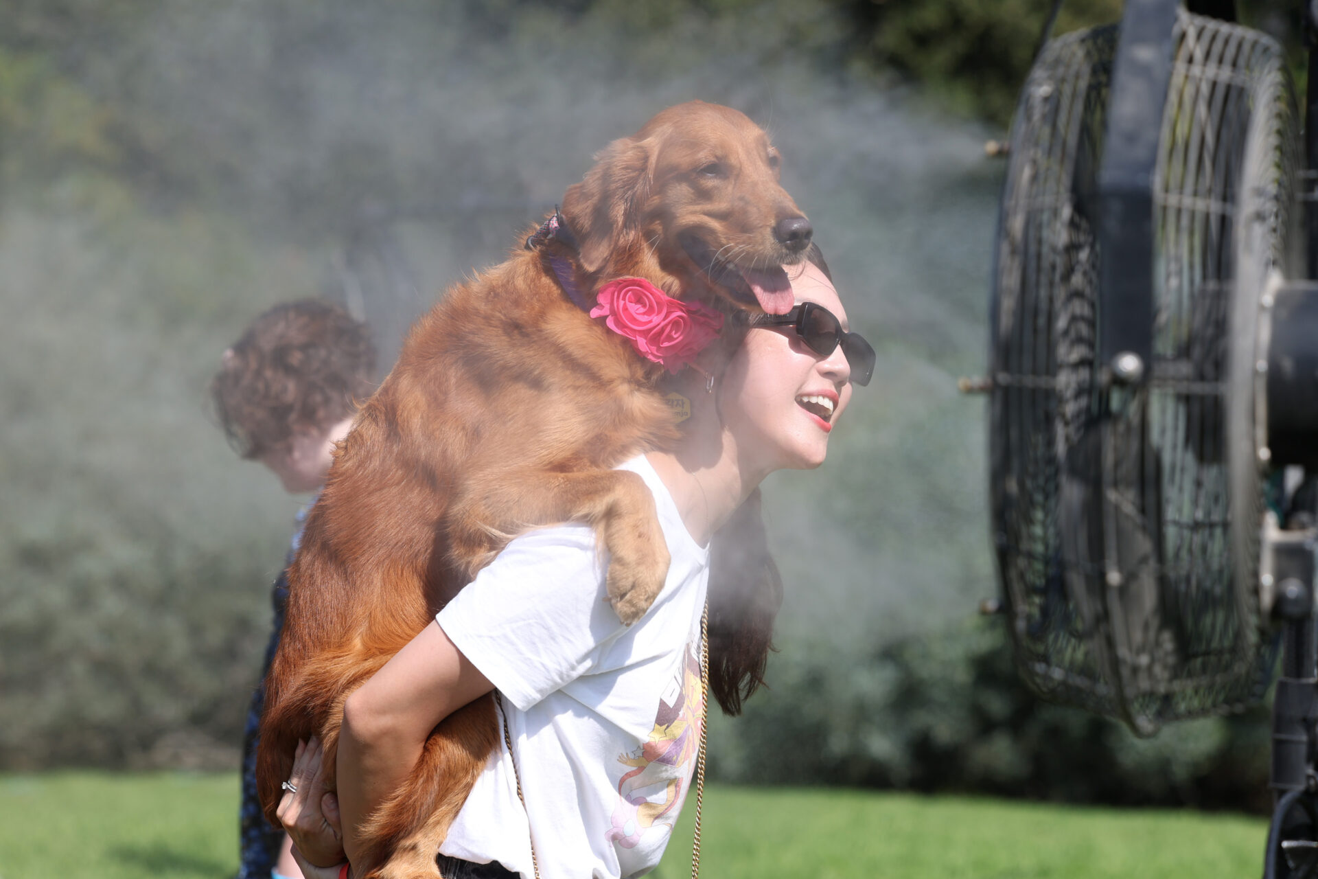 Paw Patrol Breaks World Record For Having Most Dogs Attending A Film ...