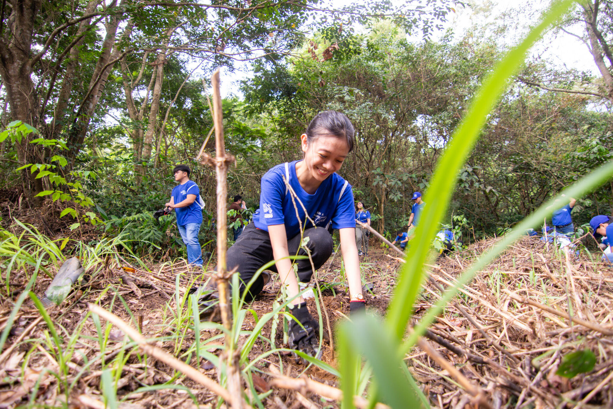 Nestlé PH Initiates Tree Growing, Launching Kasambuhay Forest At La ...