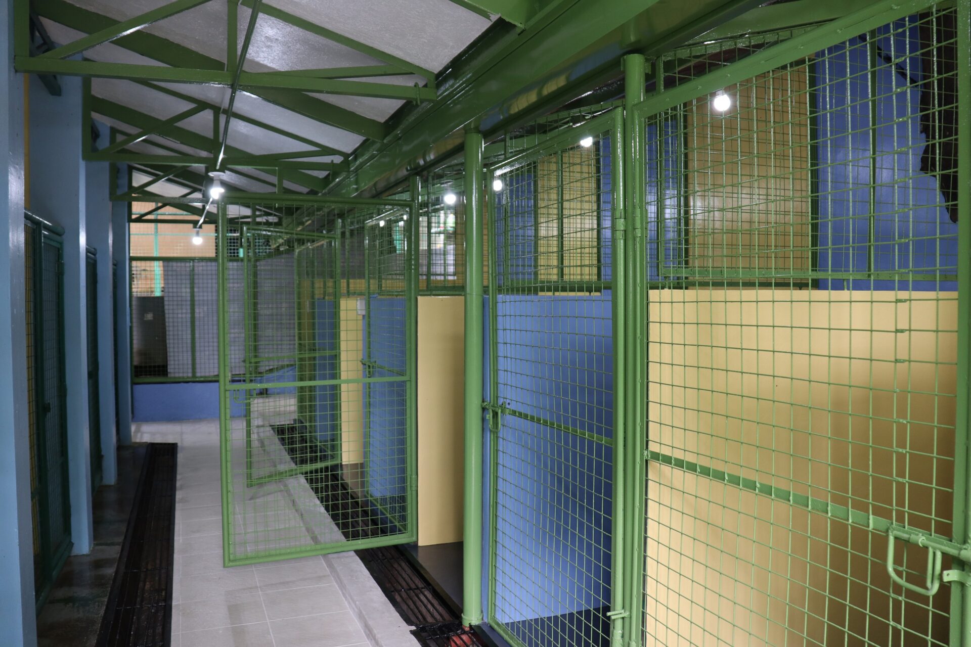 Philippine Animal Welfare Society Renovated By Interior Design Students ...