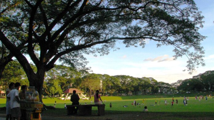 New To UP Diliman? Try Out These Five Activities To Explore The Campus ...